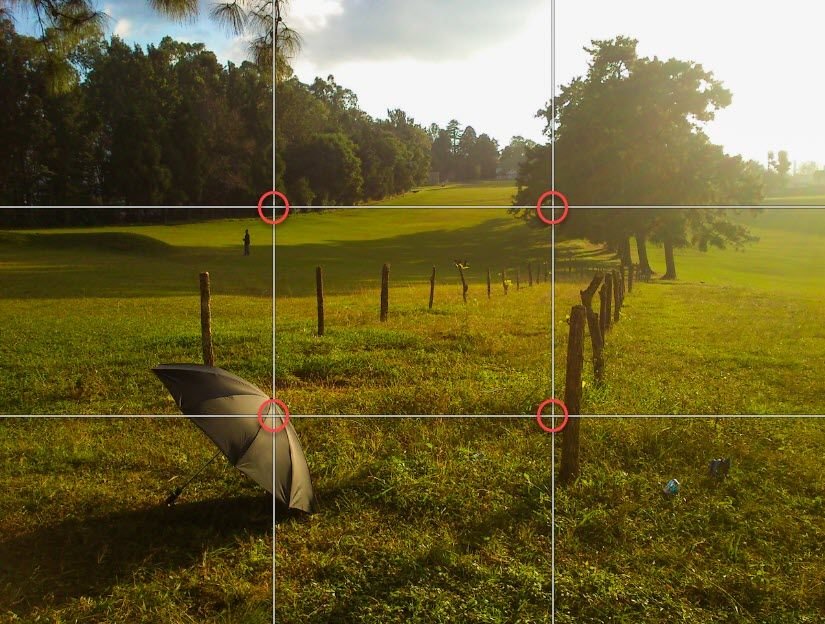 Comment utiliser la règle des tiers en photographie - toptips.fr